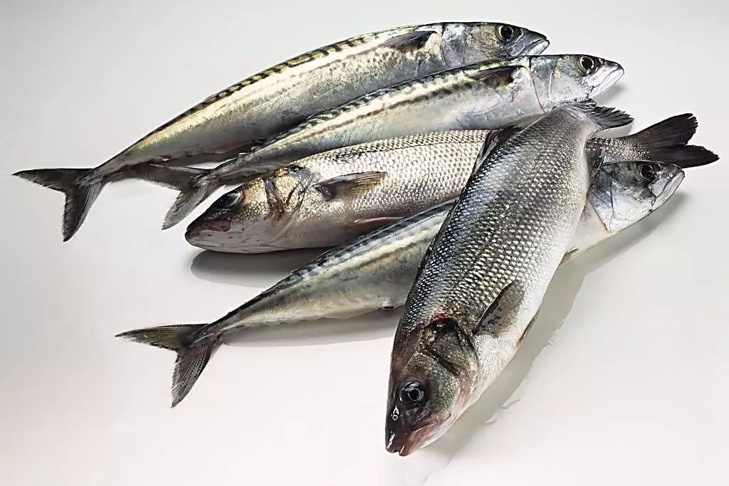 Eat fish to improve intelligence, eat more of these 4 kinds of fish in ...