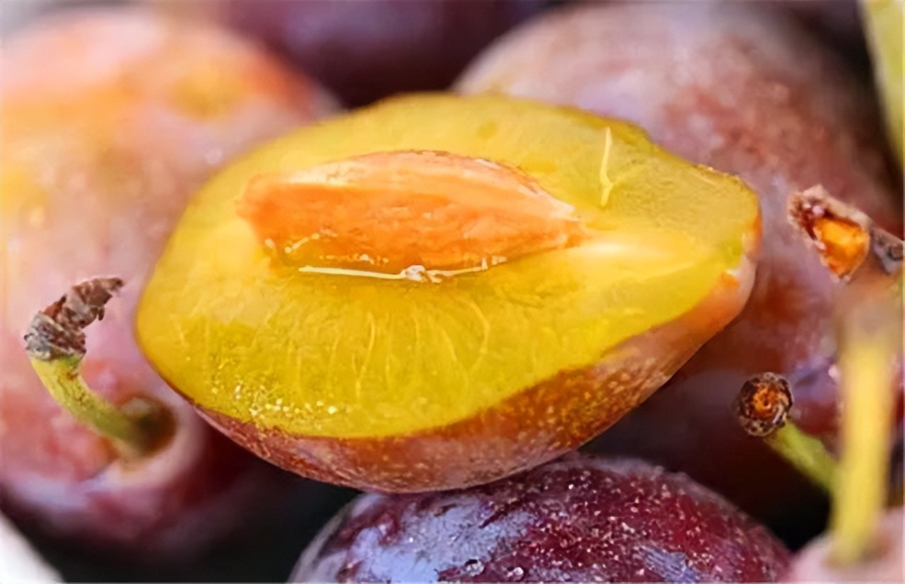 When buying prunes, do you choose soft or hard? - iNEWS