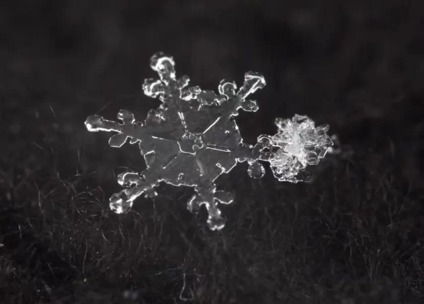 magnified snowflake - iNEWS