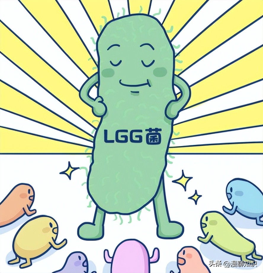 What are the competitive binding sites of probiotics and pathogenic ...