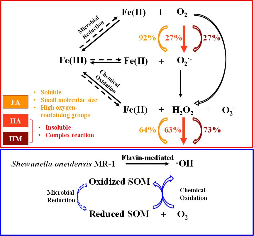 Different humic substances affect the production mechanism of •OH in ...