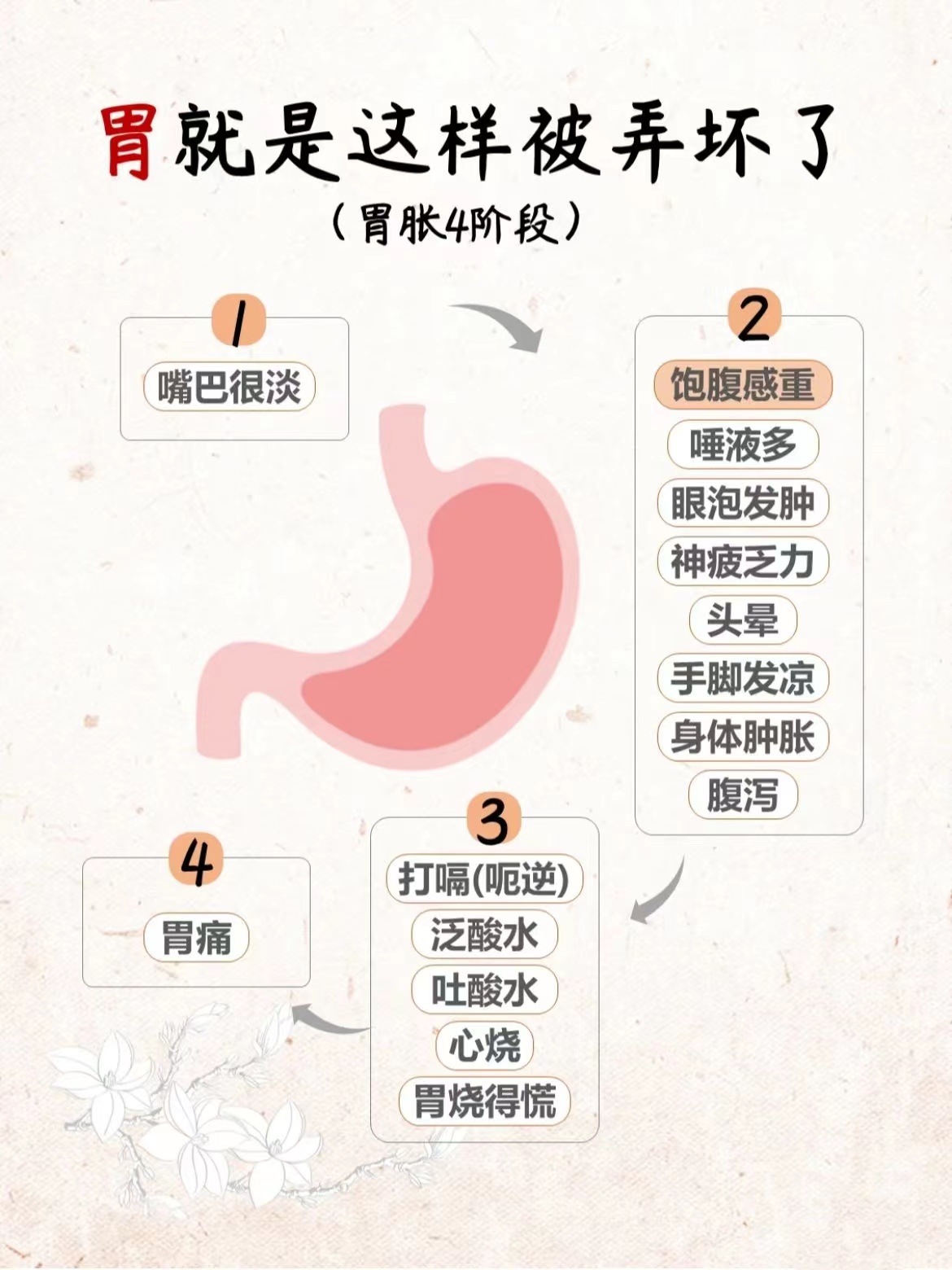 The stomach is spoiled in this way, and there are several stages of ...