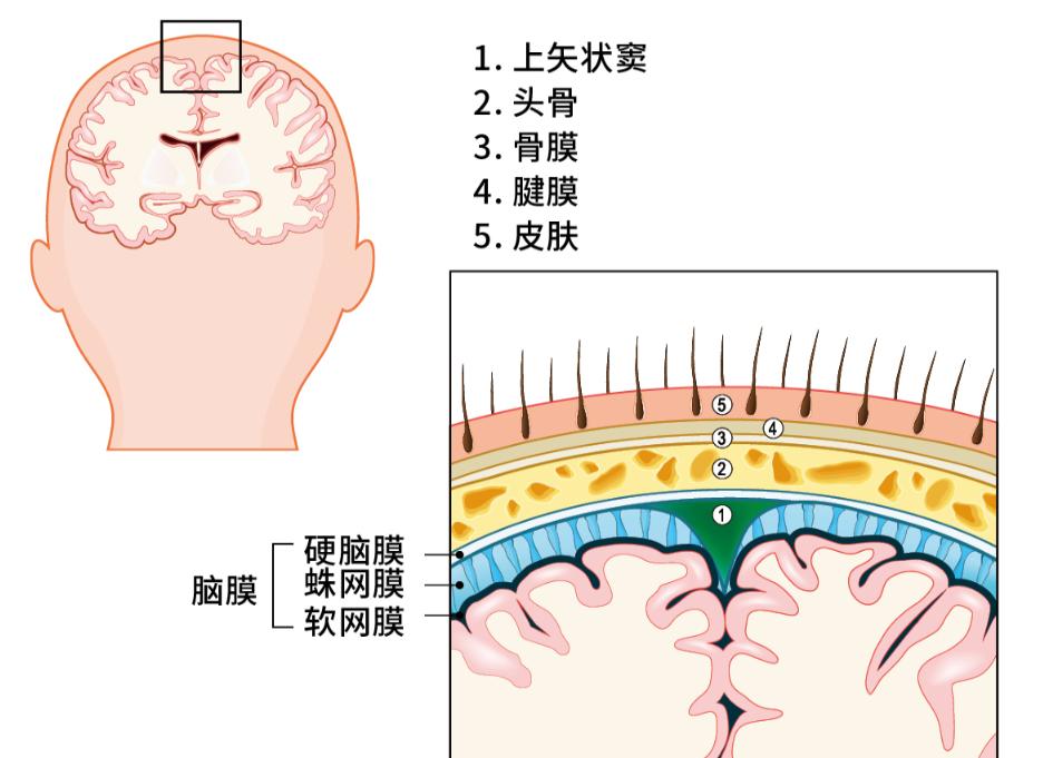 In space, the human brain re-arranges - iNEWS