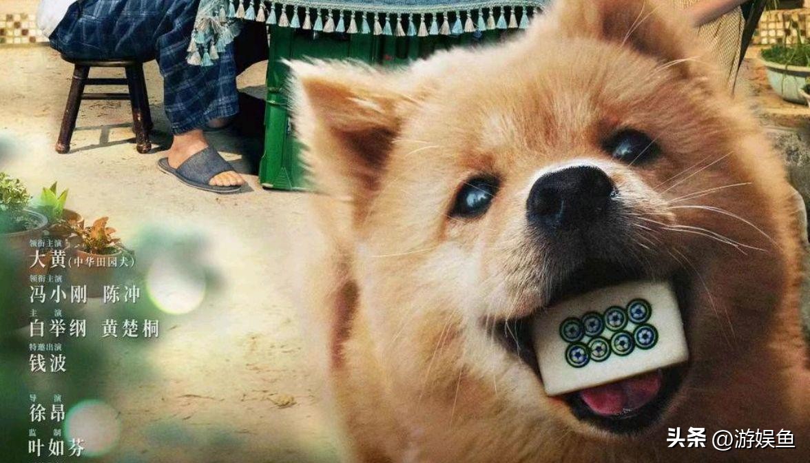 Feng Xiaogang and Chen Chong's movie "The Faithful Dog Hachiko" is set ...