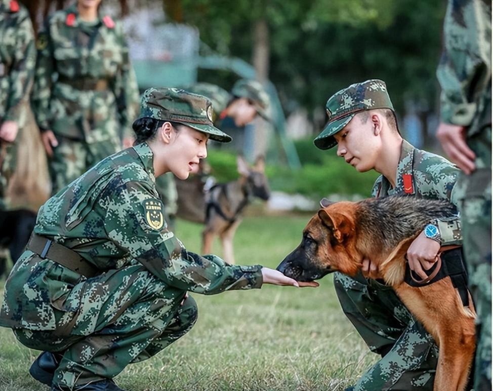 The ending of Zhang Xinyu and He Jie has long been doomed - iNEWS