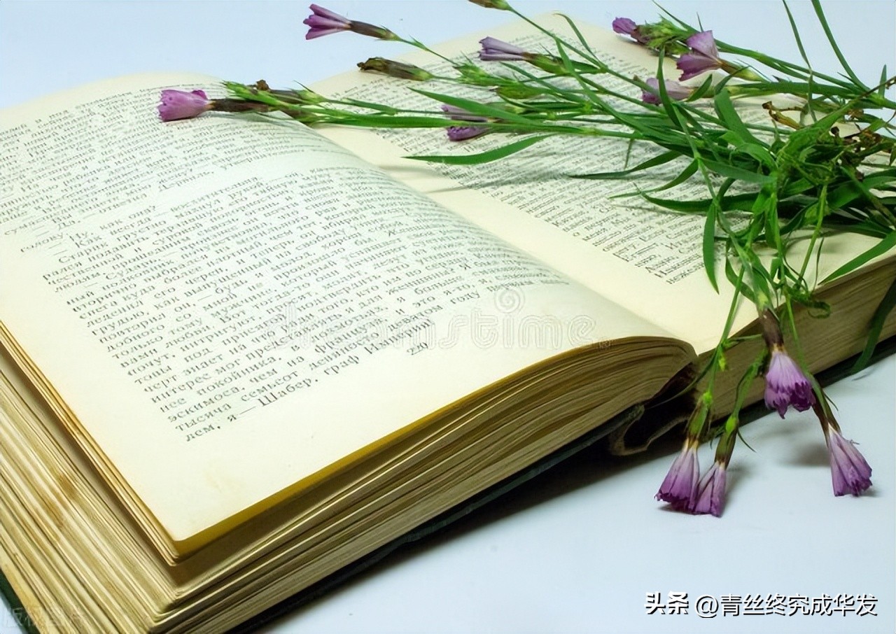 Balzac: Suffering is the teacher of life - iMedia