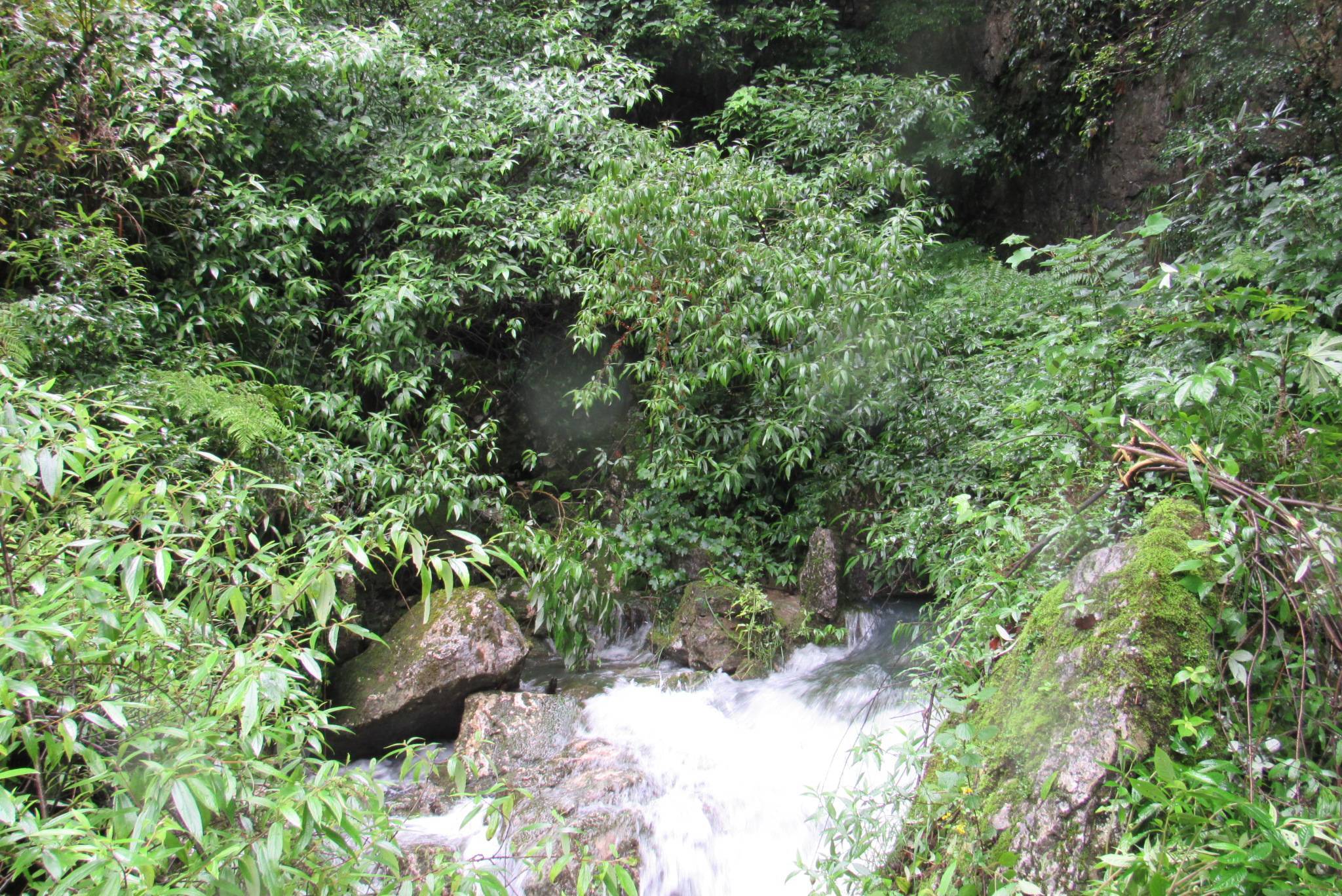 After Tang Jiyao changed his name, the founder of "Jilian Shuang ...