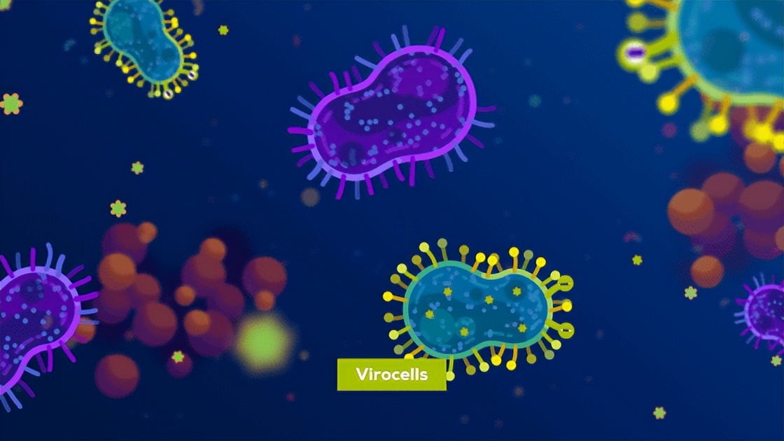 What is the giant virus "Girus"? - iMedia