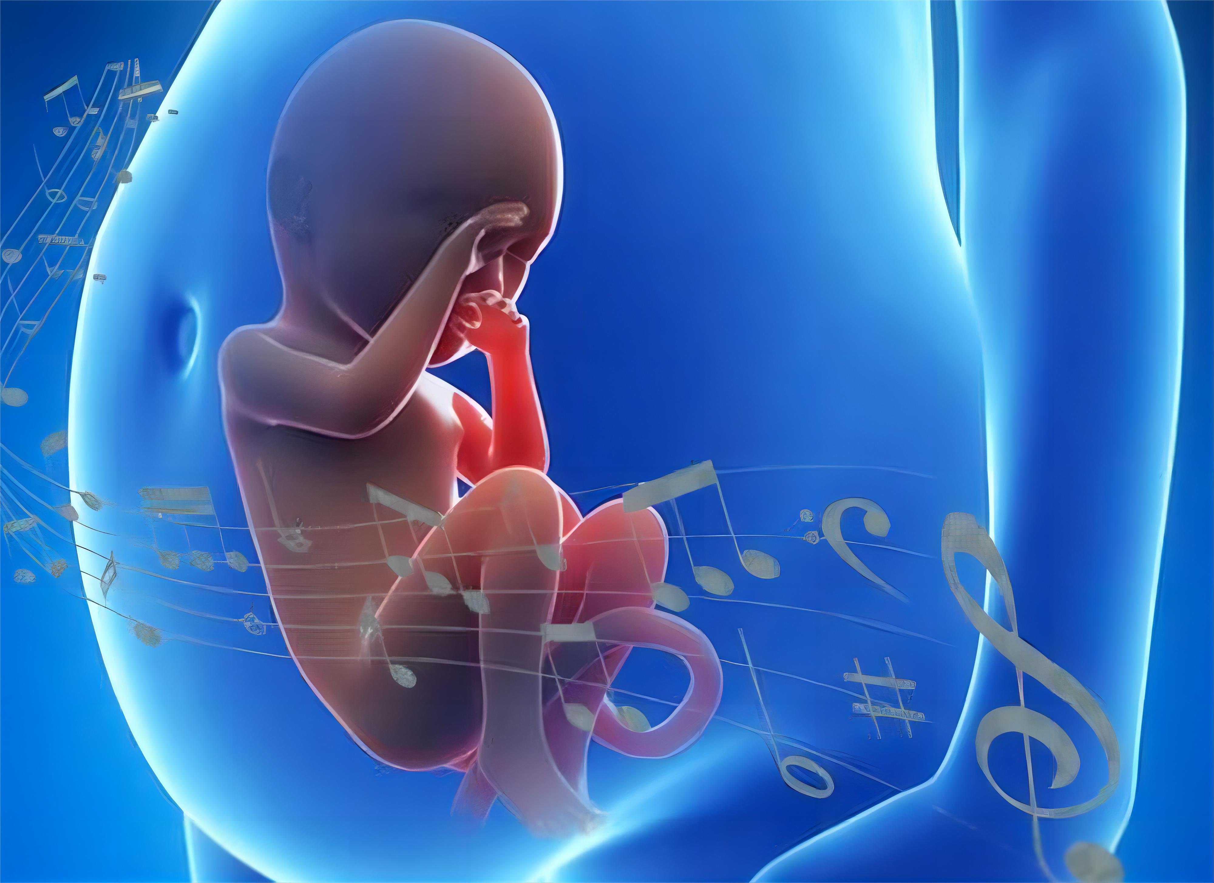 Can the baby hear the mother while in the womb? - iNEWS