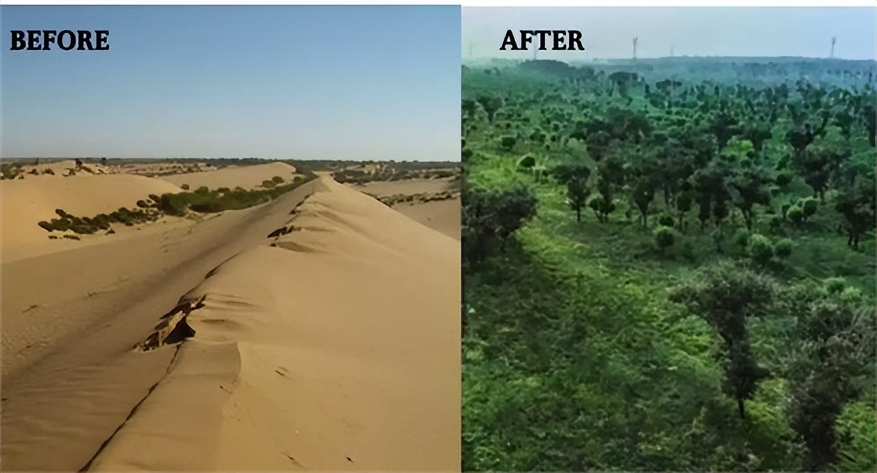 The Mu Us Desert, once barren and barren for hundreds of years, is now ...