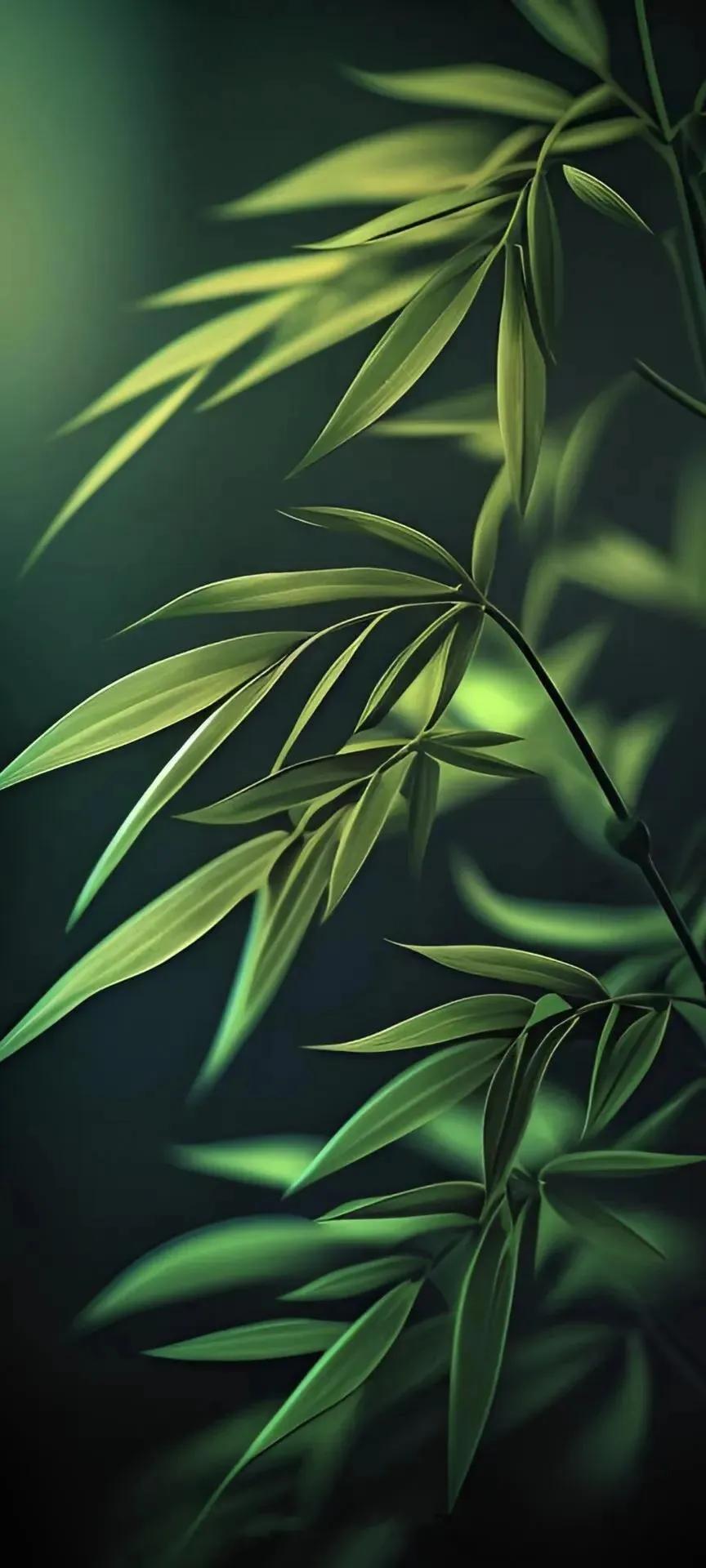 Very comfortable green eye protection wallpaper - iNEWS