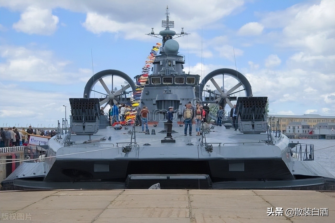 Sea bus or tasteless tasteless?Is it worth it to introduce a Bison ...