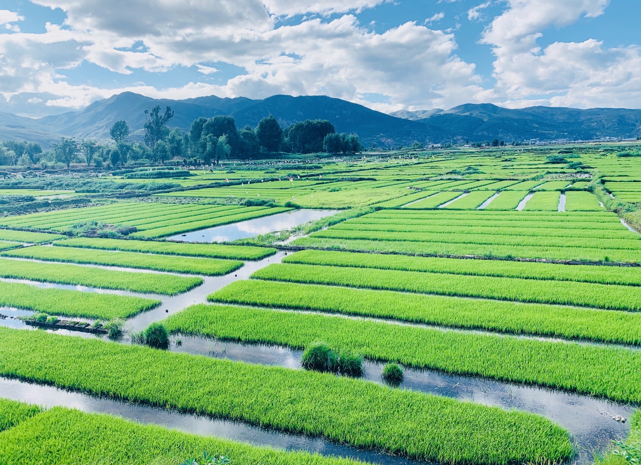 Follow Xu Xiake to explore the Three Ancient Caves in Heqing - iNEWS