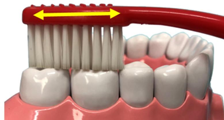 Here comes the correct way to brush your teeth - iNEWS