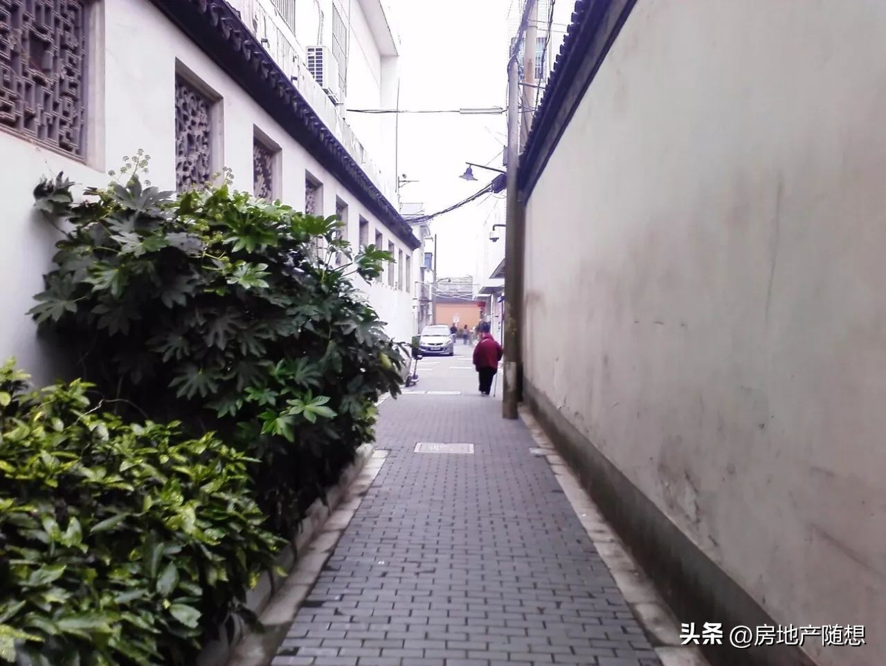 locust alley - iNEWS