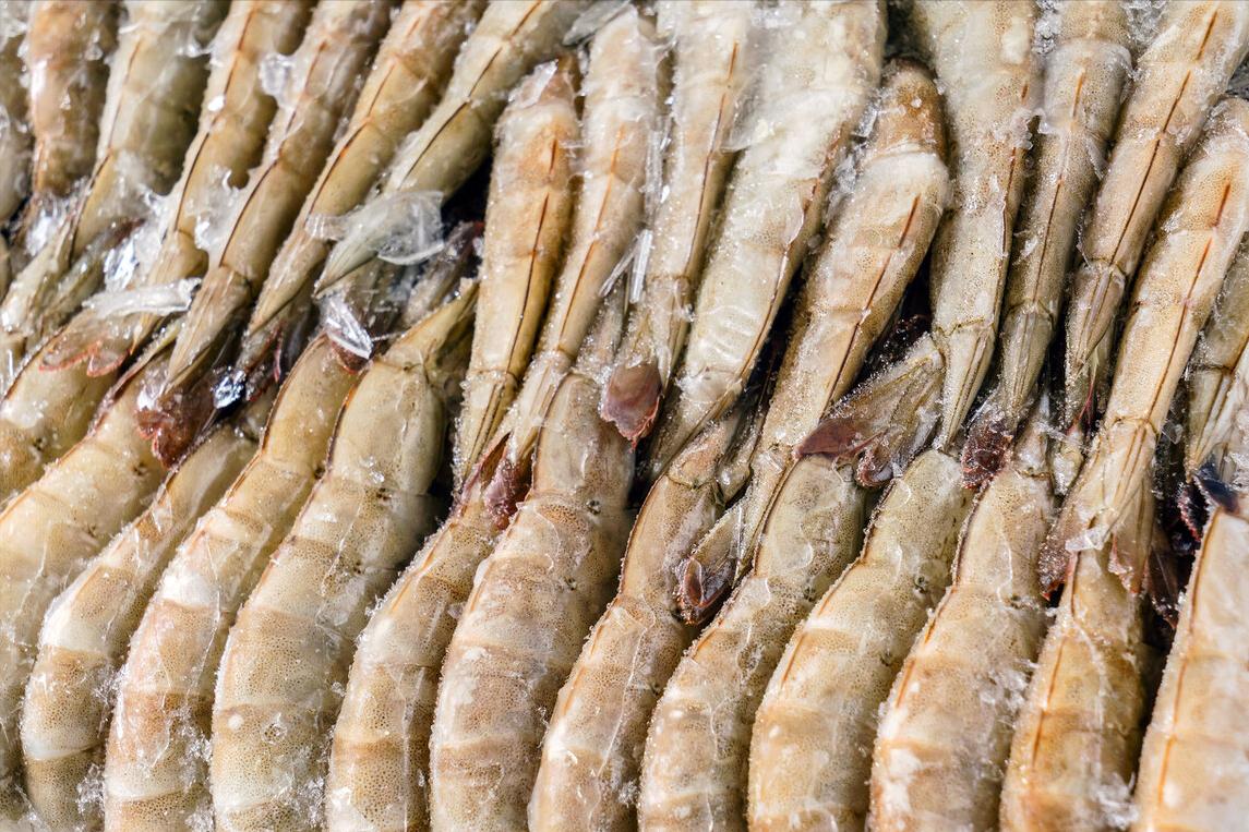 Don't store prawns directly in the refrigerator. The seafood boss will ...