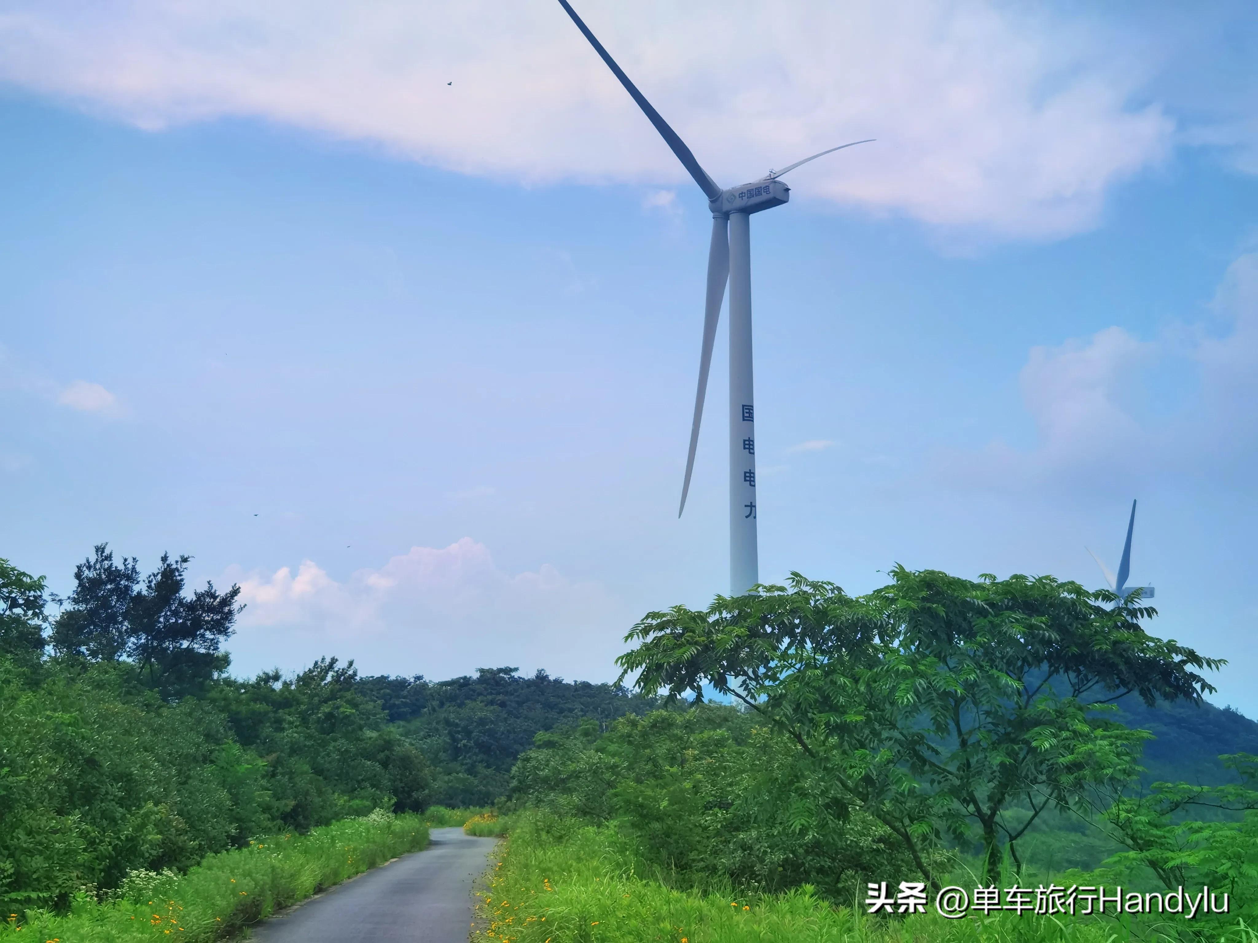 Meet your best self on the most beautiful windmill road - iNEWS