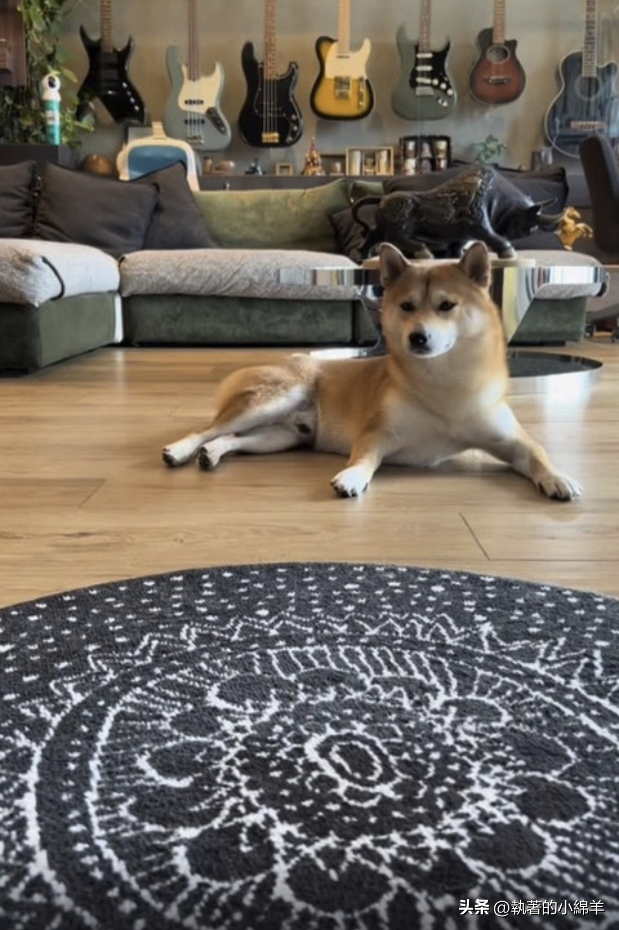 Shidi Lin Baoyi returns to life - iNEWS