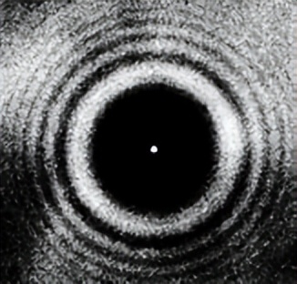 Black Humor in the History of Science - Poisson Bright Spots - iNEWS