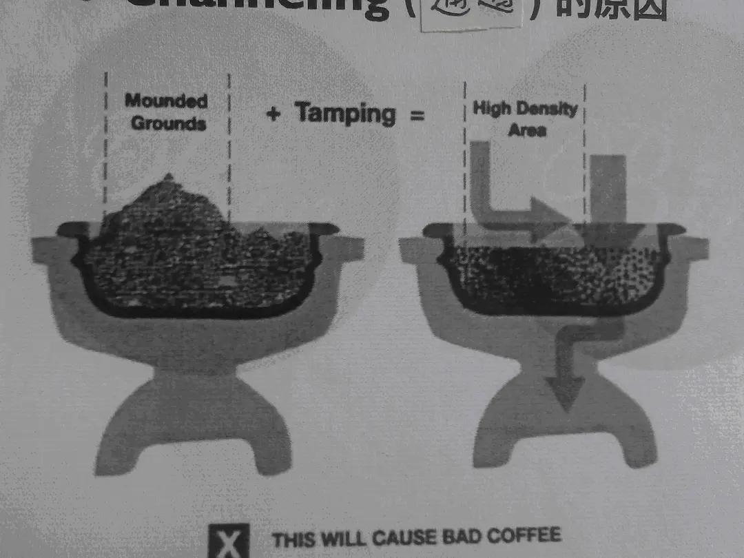 Espresso Science - Extraction - iNEWS