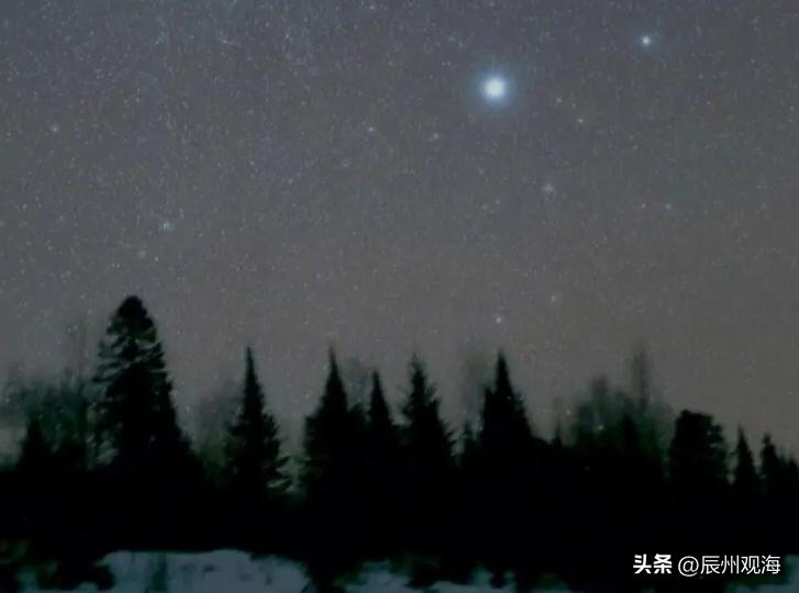 Why do some people always think that there are "Sirius" creatures - iMedia