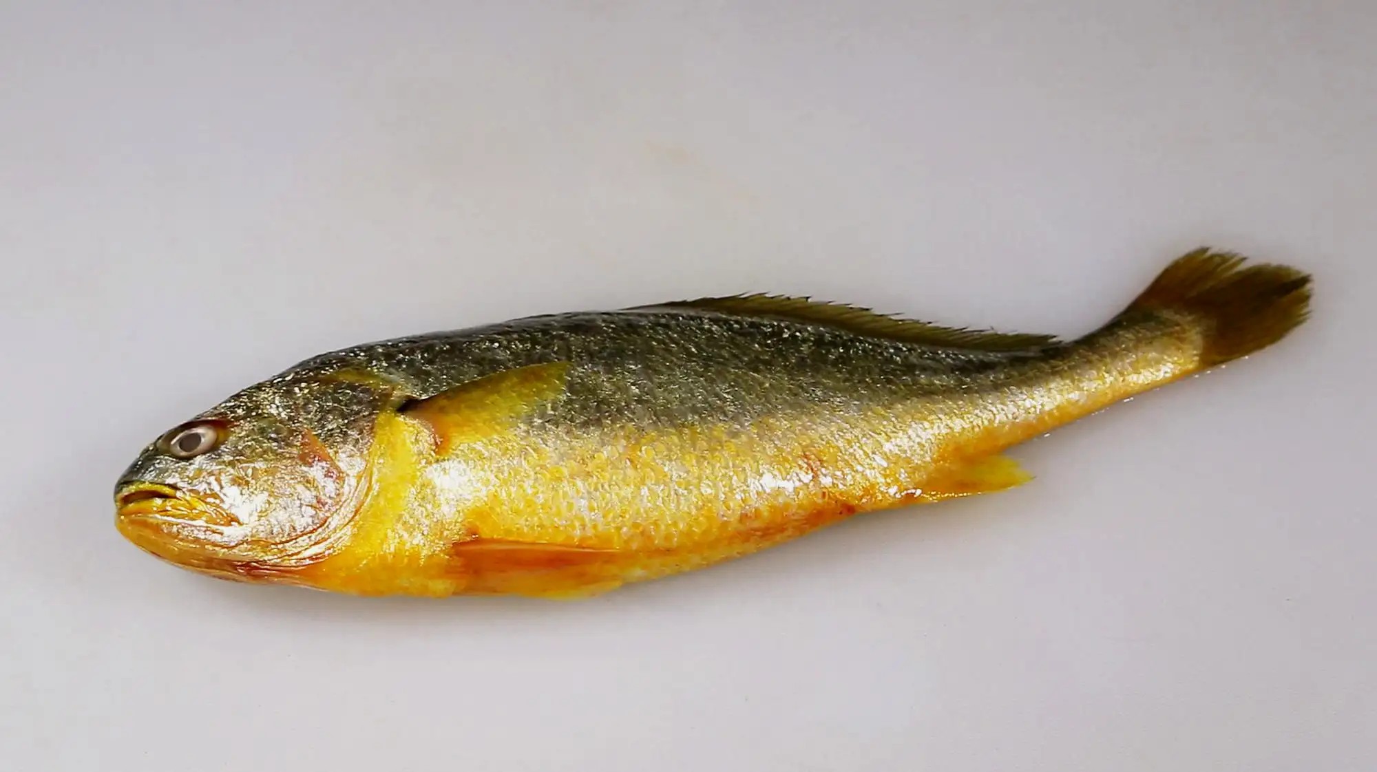 Teach you nutritious and delicious yellow croaker fried rice cakes, the ...