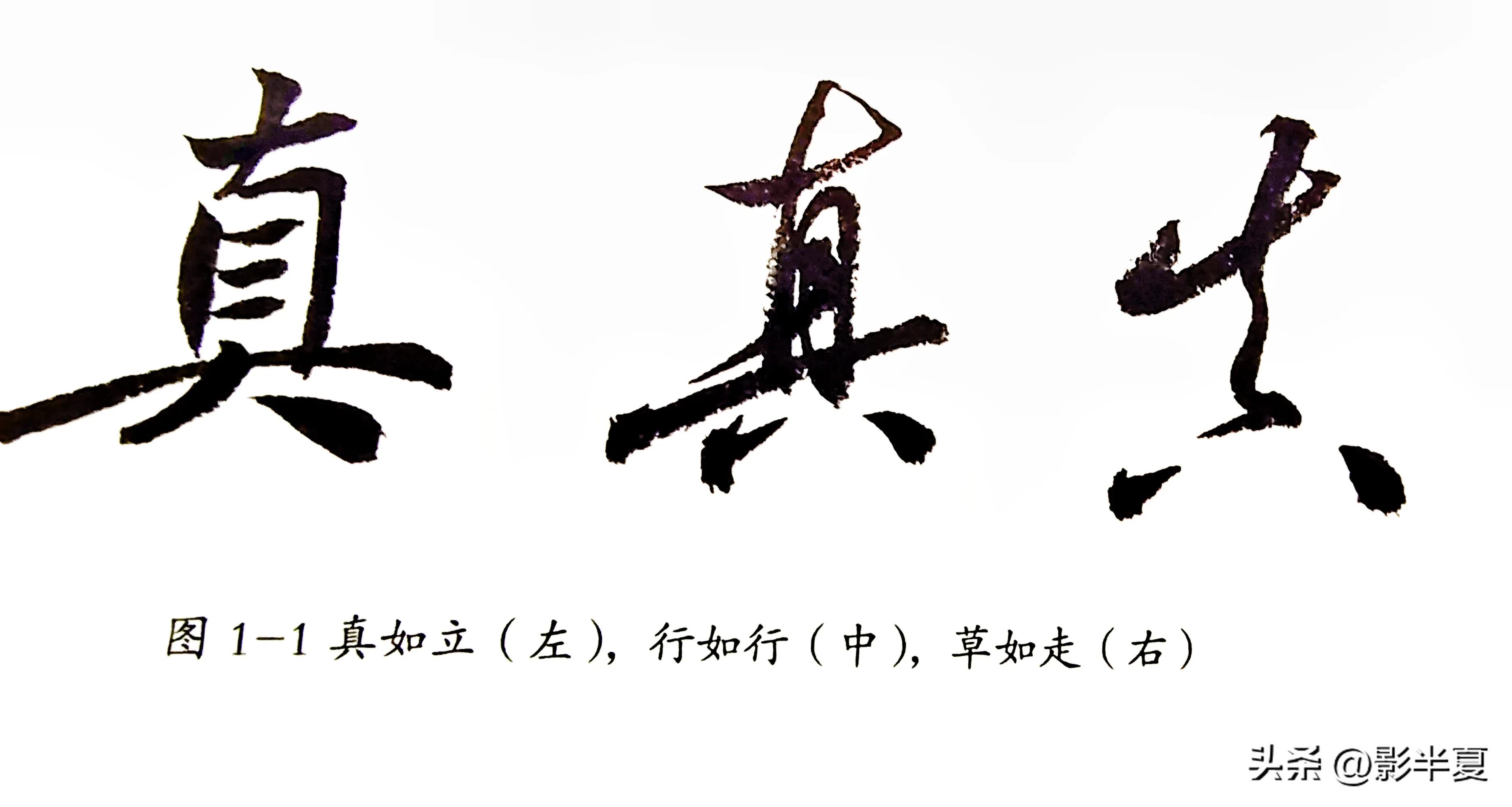 From "layman" to "expert" in calligraphy, only this book is missing ...