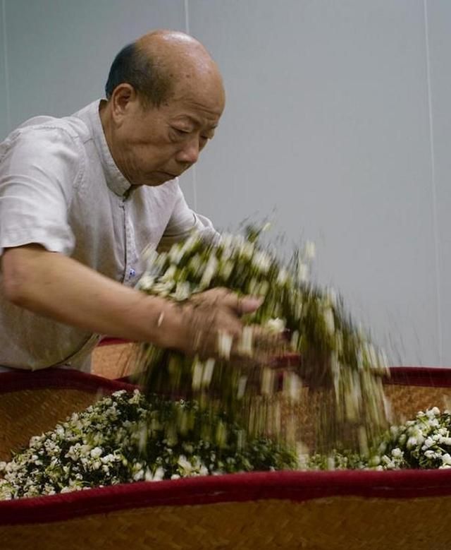 Fuzhou: the ancient and modern encounter between an "imported flower ...