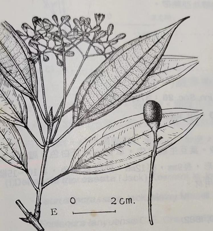Lao Qiu Shuo Mu: Mid-Autumn Festival Special - What kind of gui did "Wu ...