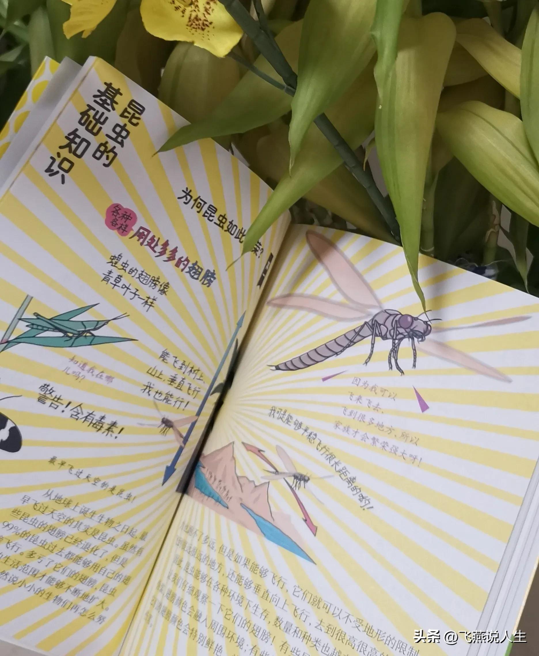 "Wonderful Insect Illustrated Book": Legends of the Insect World - iNEWS