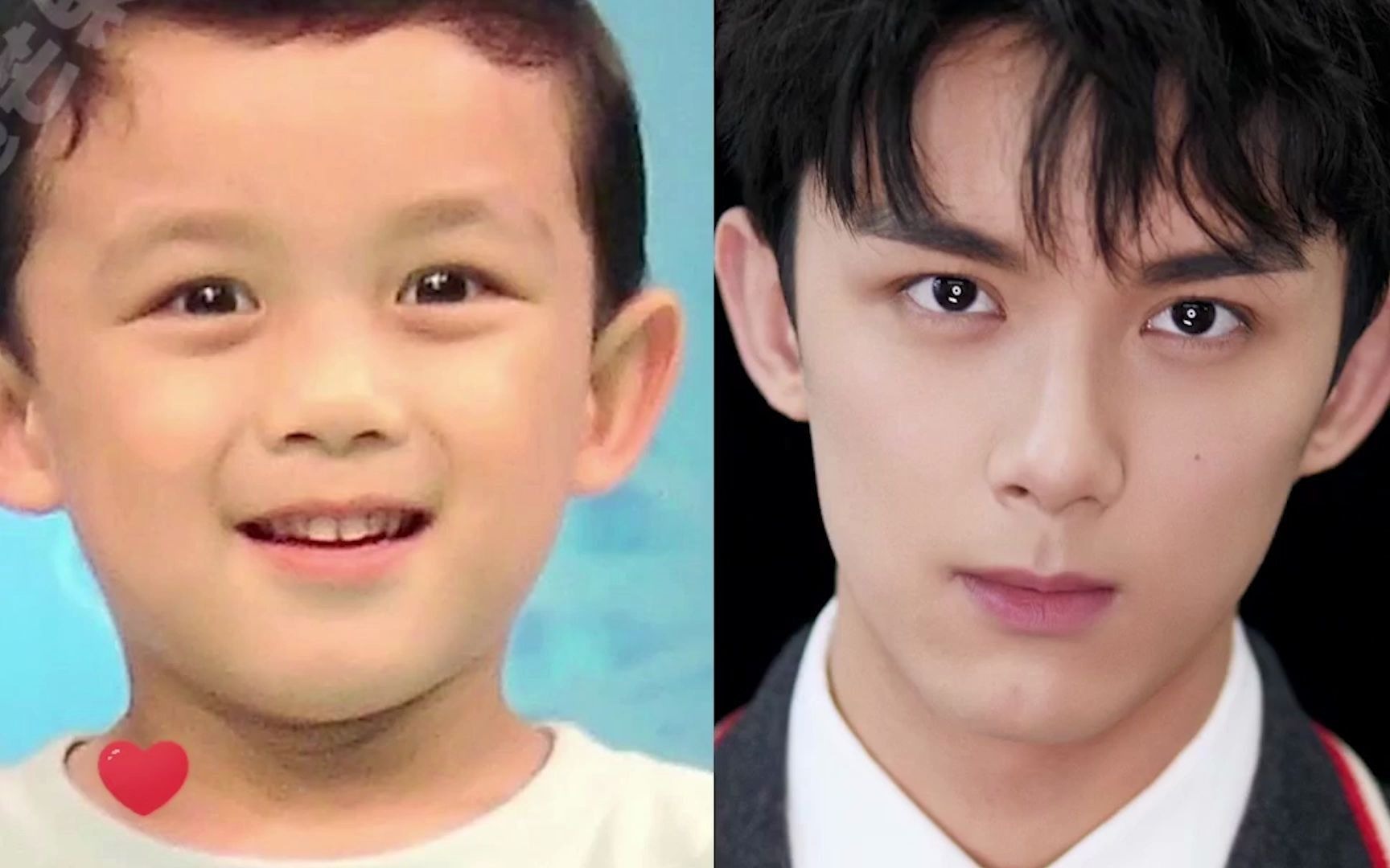 Injected with growth inhibitors, their skin ulcerated and left ...