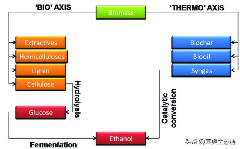Evolution of biomass and its generations - iMedia