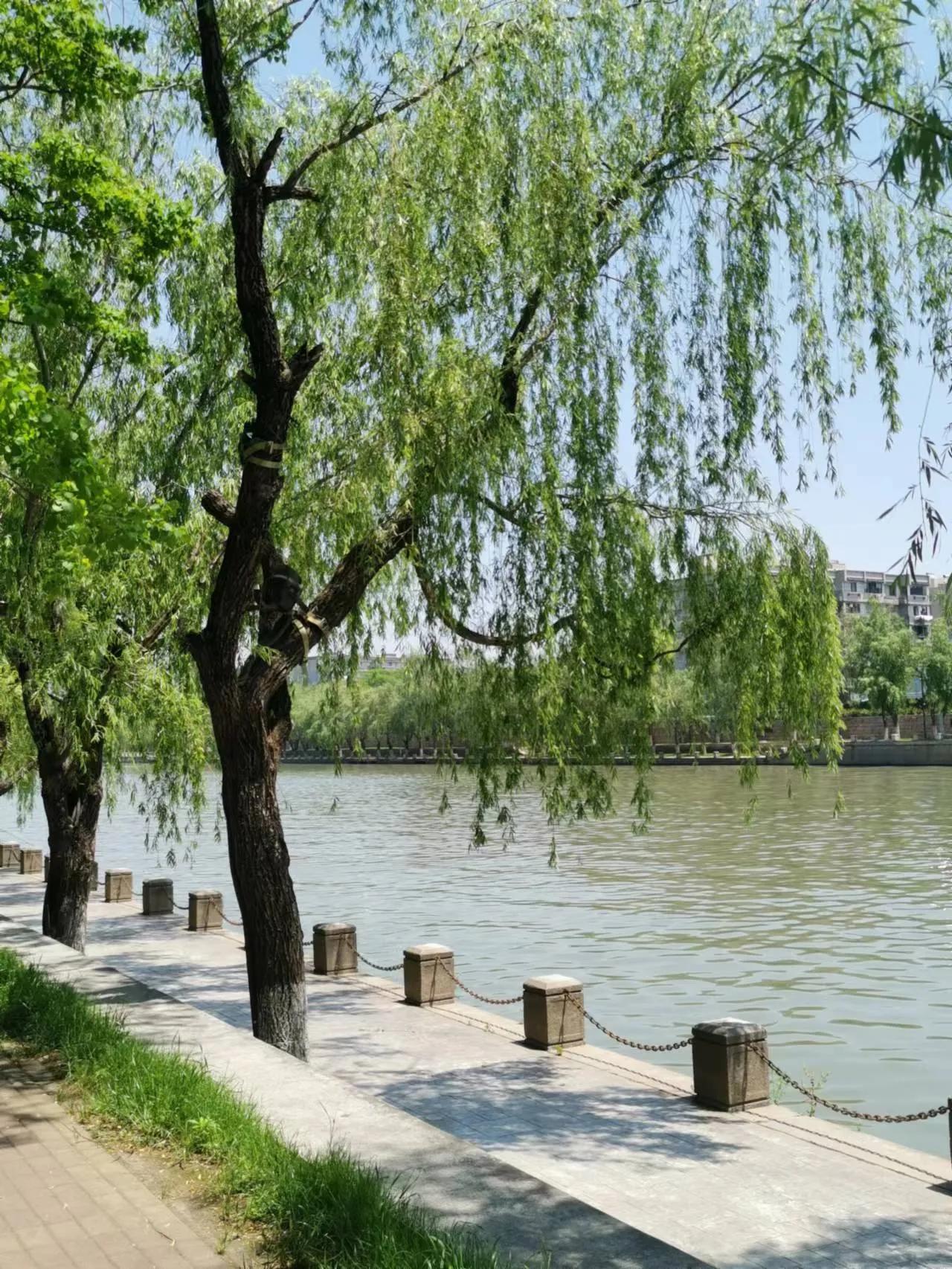 Qinhuai River in Nanjing in early summer - iNEWS
