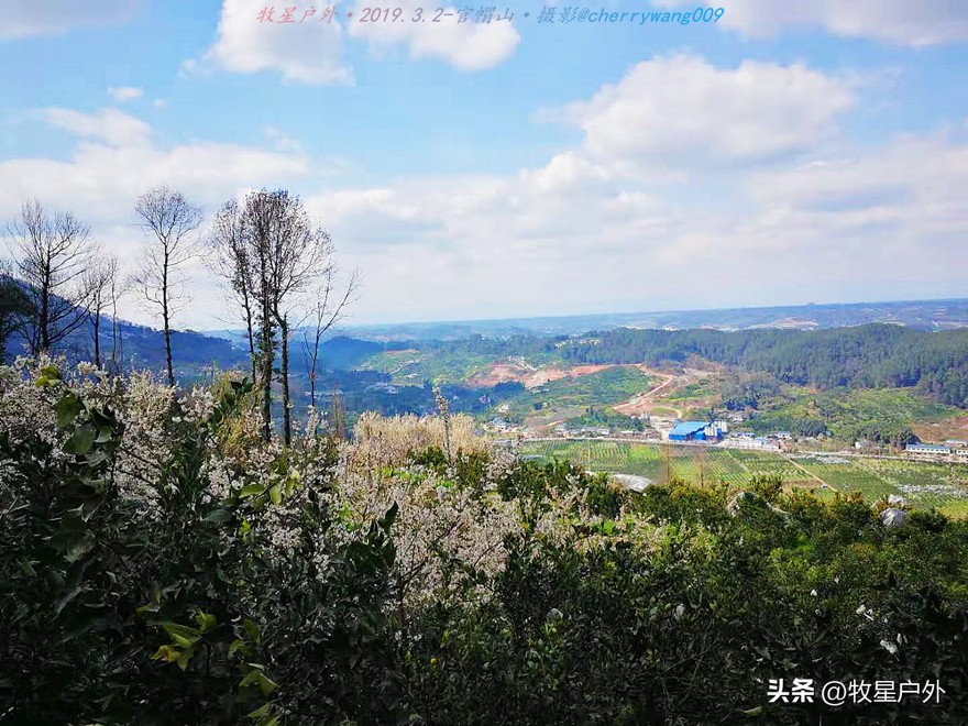 Admire romantic cherry blossoms at Guanmao Mountain in Pujiang - iMedia
