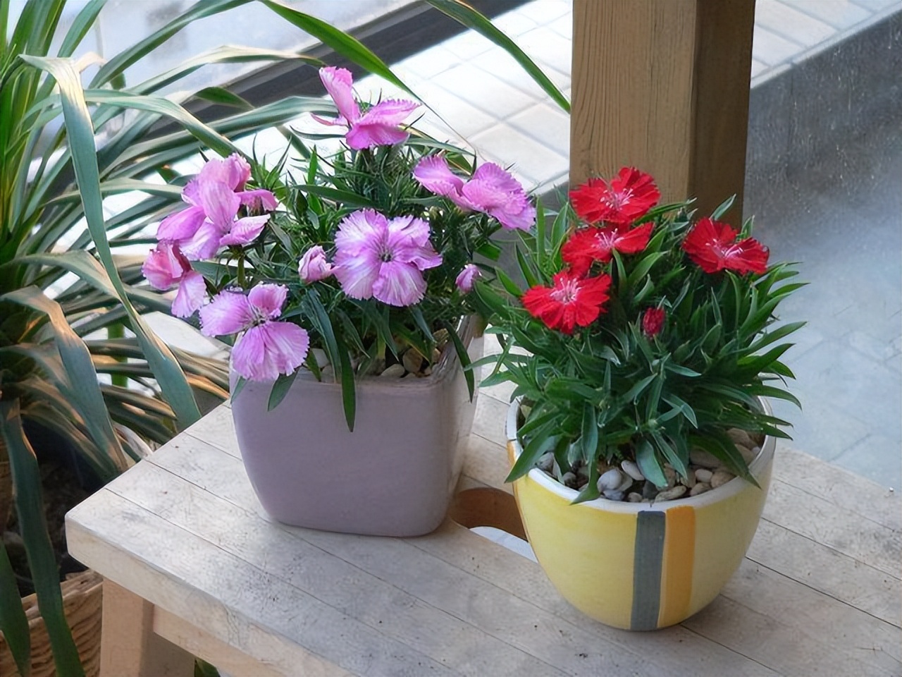 Of the 8 daily routines of a flower grower, 4 of them are "flower ...