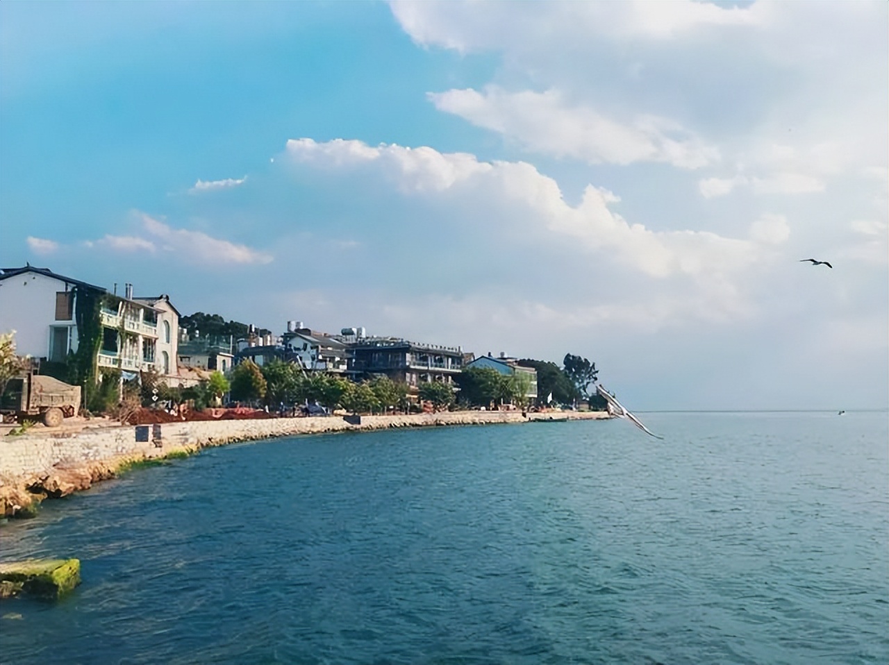 Yang Liping's house, Feng Tang's yard, Li Yugang's dance studio, the ...