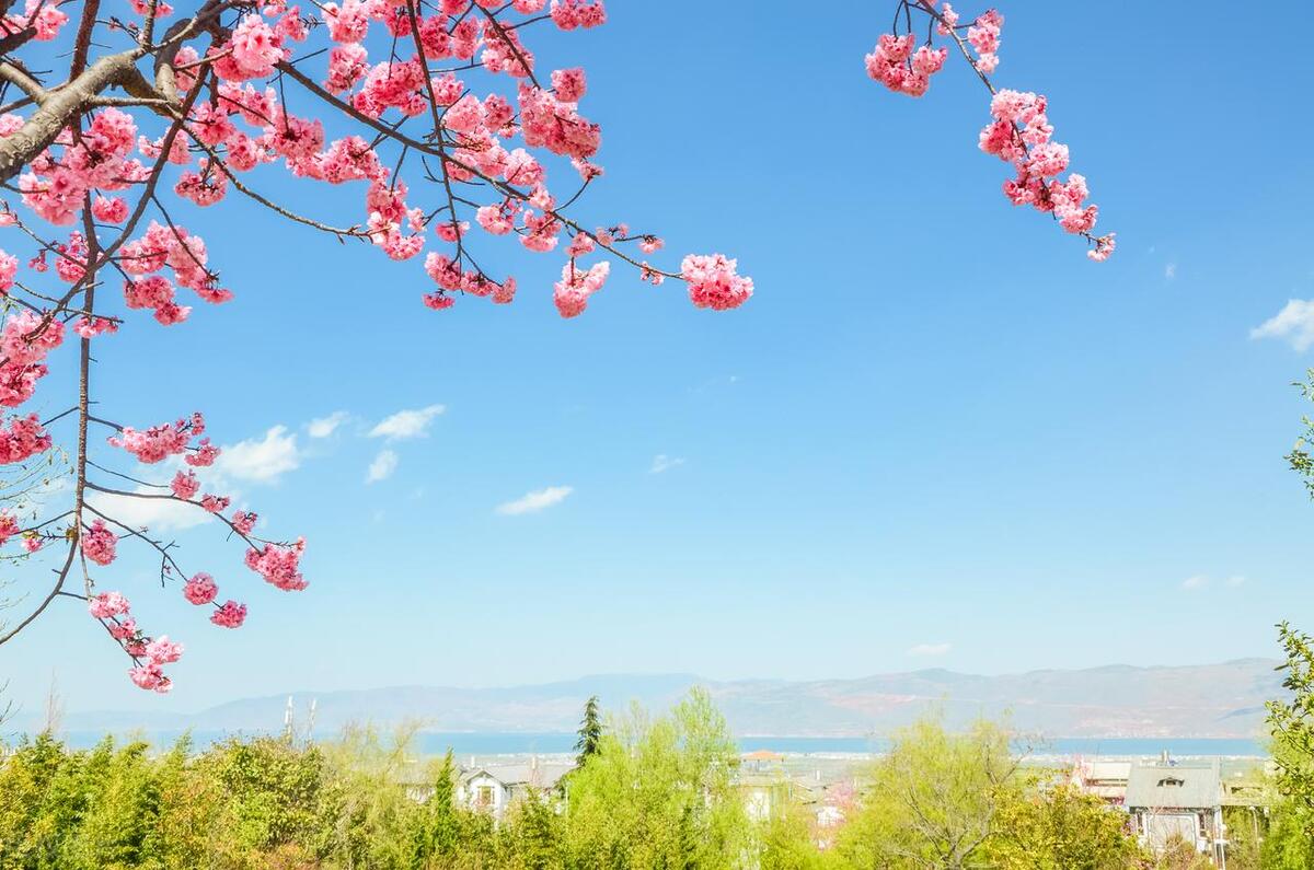 I am Yang Mi, and I used to be a "fat girl" - iMedia