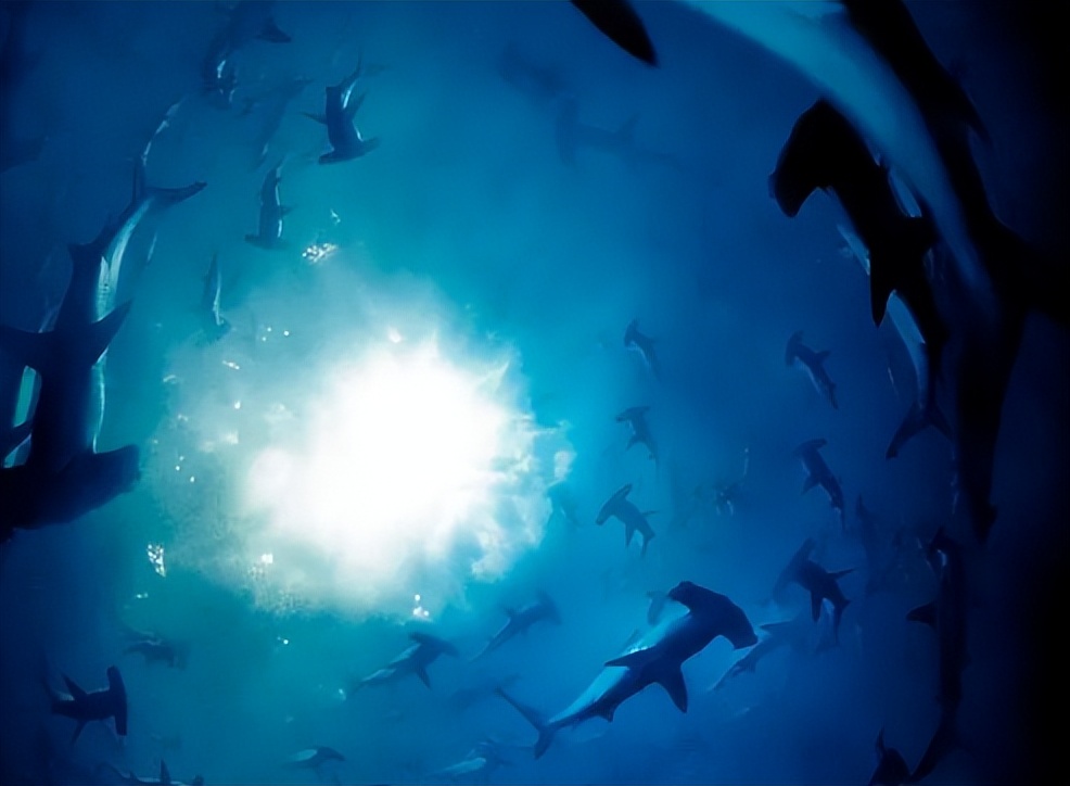 "Deep Blue" shows the impact of human activities on the natural ...