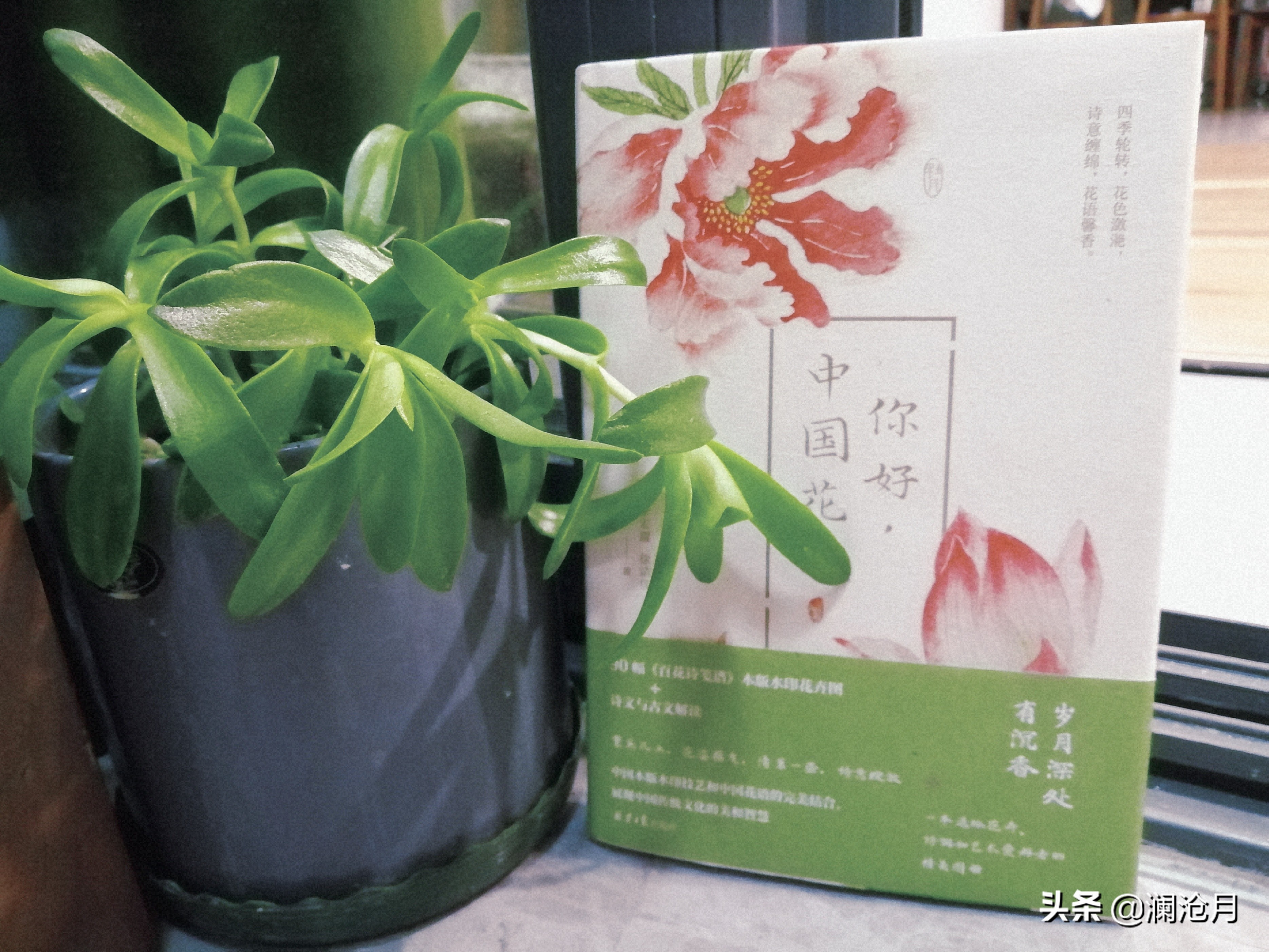 What Tang Xuanzong missed was more than a "Jieyu flower" by Concubine ...
