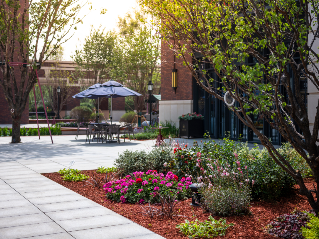 flower border landscape design - iMedia