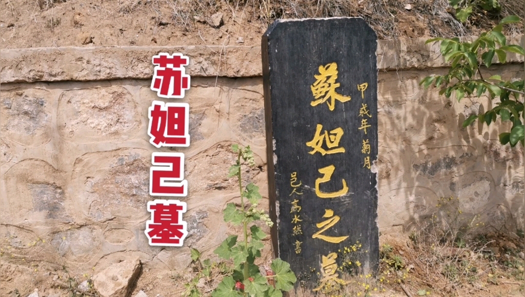 The ancient tomb of Su Daji was discovered, the unearthed cultural ...