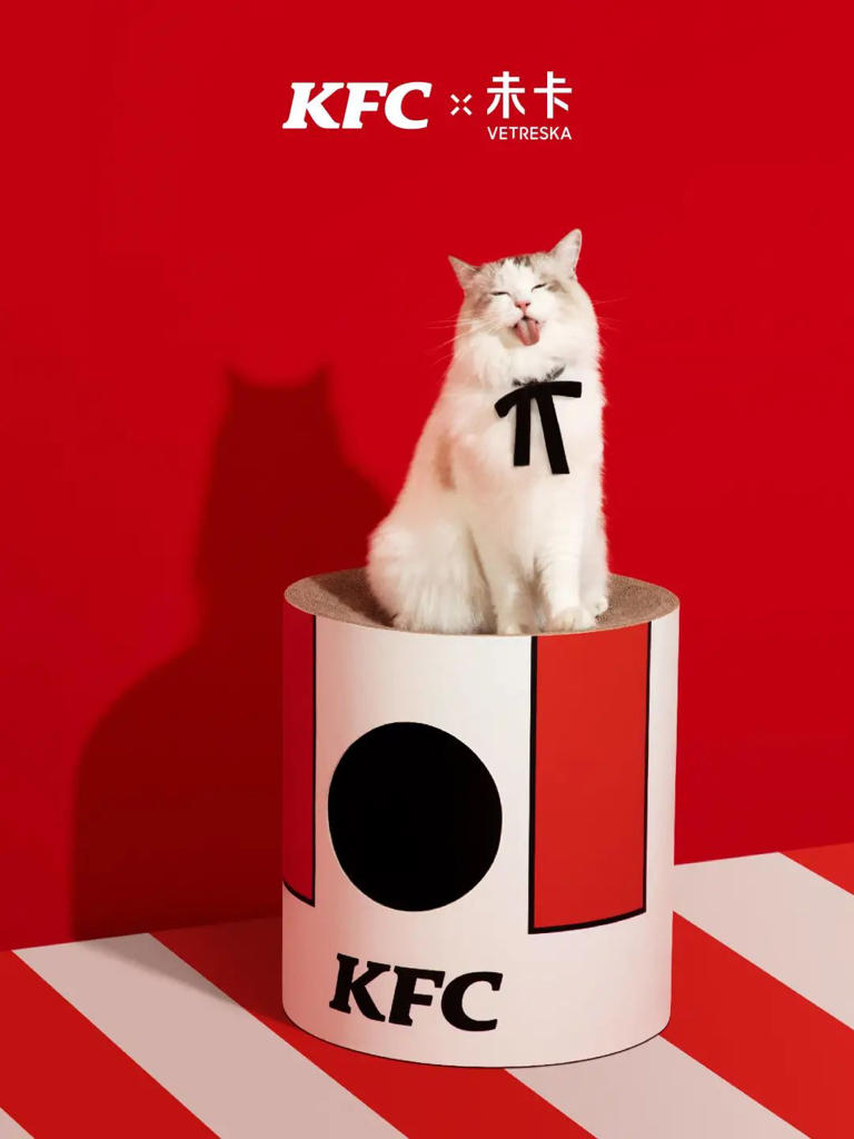 KFC's "cat litter" was robbed in one second?Is the money of the shit ...