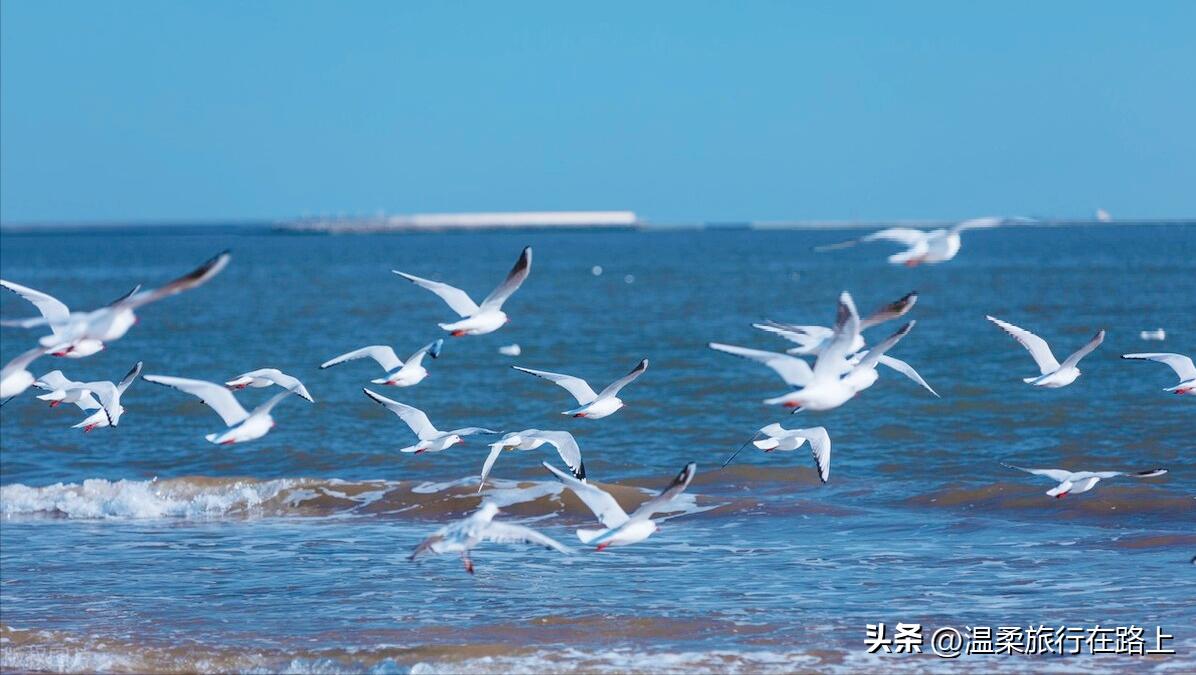 Beidaihe Scenic Area, a paradise-like resort - iNEWS