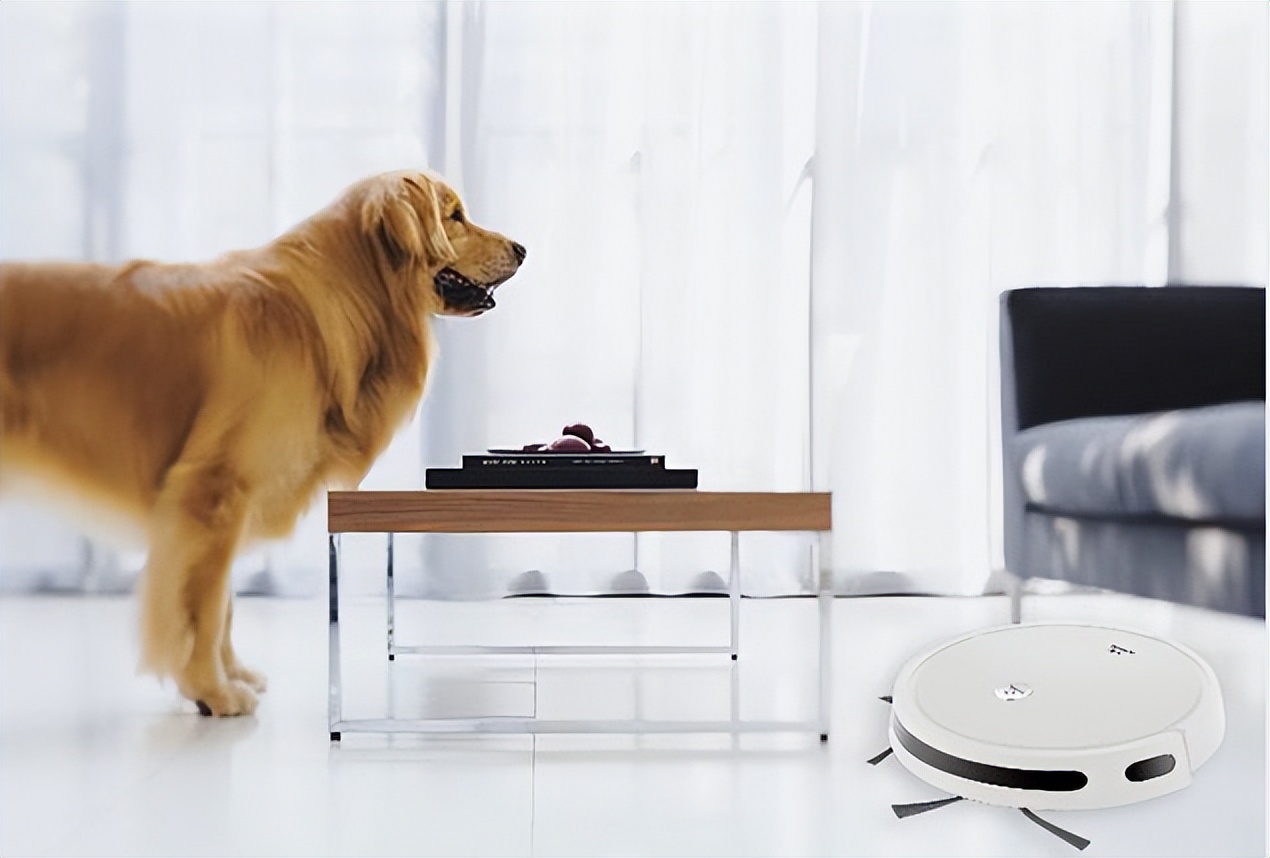 Top 10 famous brands of intelligent sweeping robots, popular science of ...