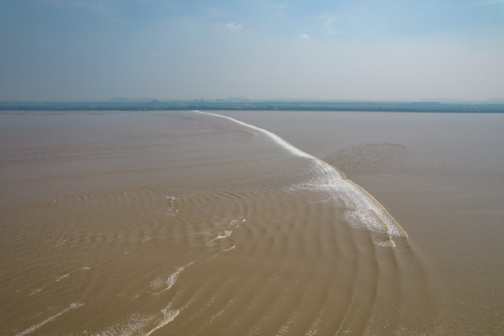 The annual Yangguan Tide Watching Tour is located in Haining, Jiaxing ...