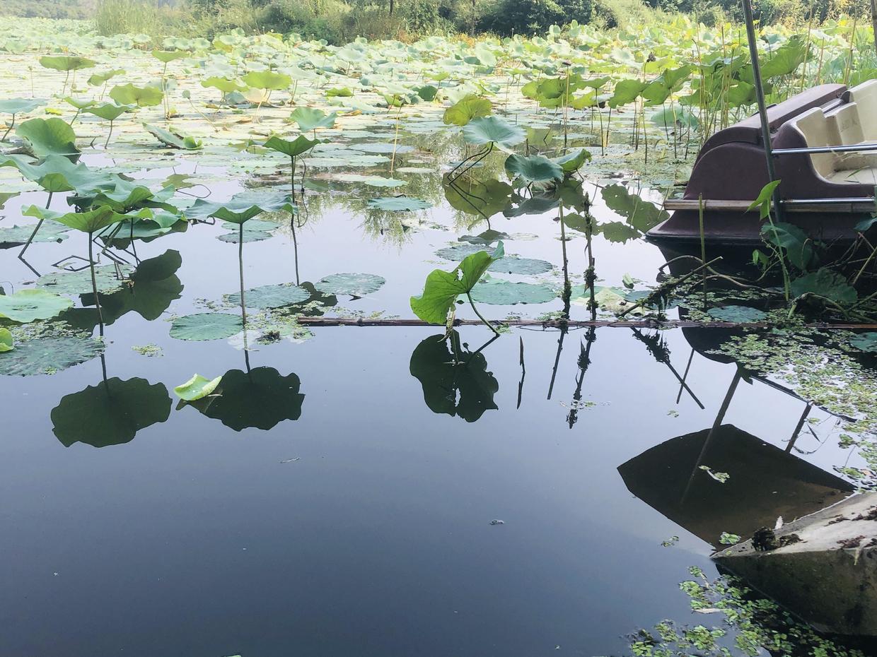 hurry and hurry - iNEWS