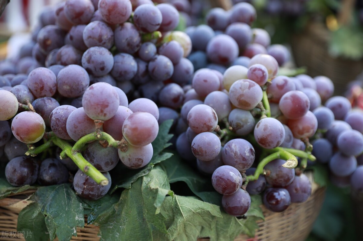 The top five rankings of the most delicious grapes in China, see if ...