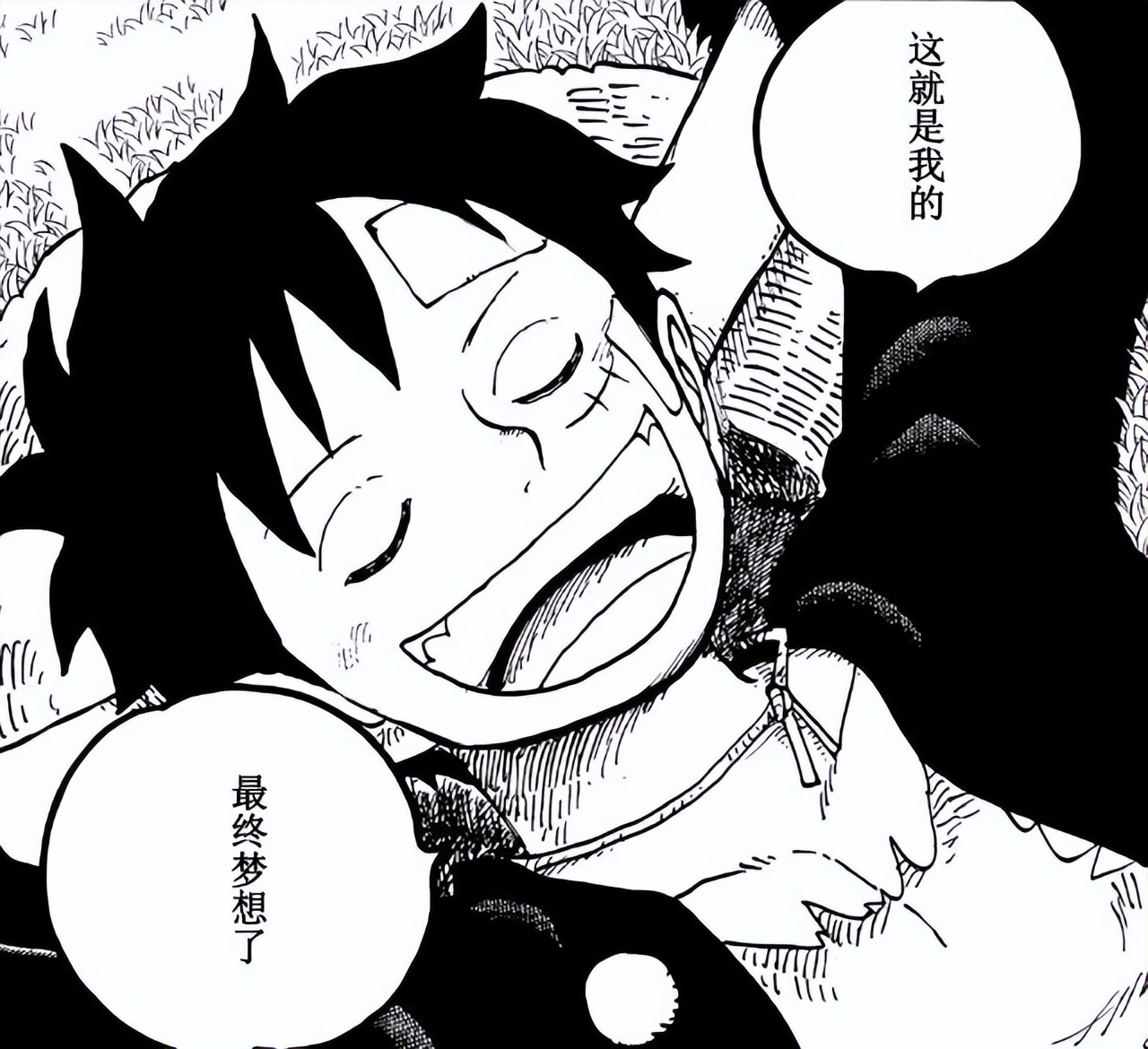 After watching "One Piece" for 20 years, I now know that Luffy's dream ...
