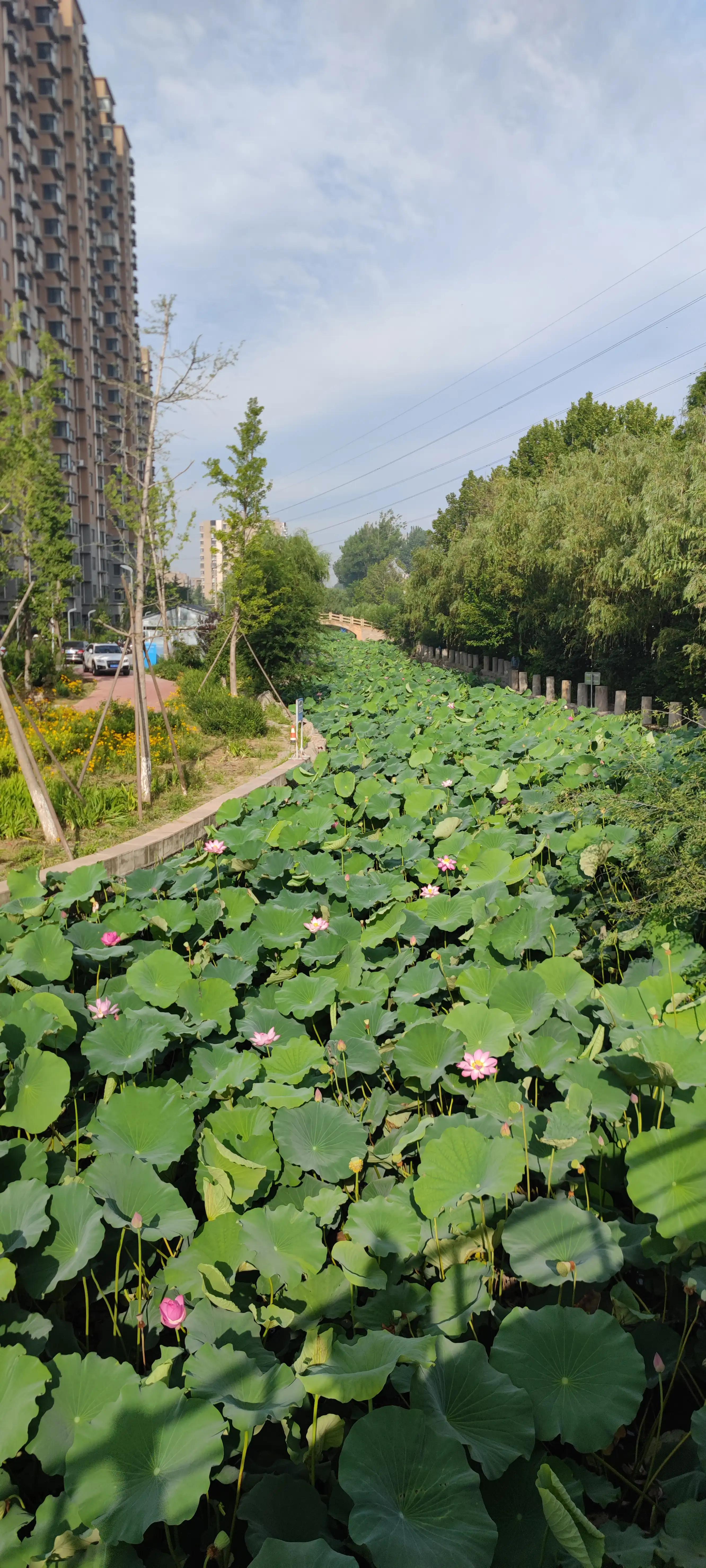A small note on the morning tour of Xiushui Lake - iNEWS