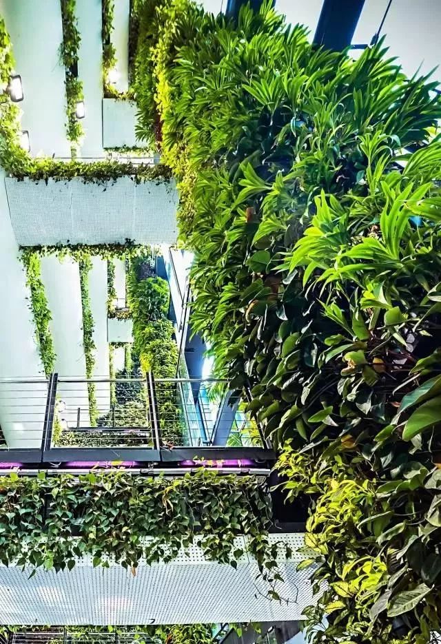A more classic case of vertical greening design in Singapore - iNEWS